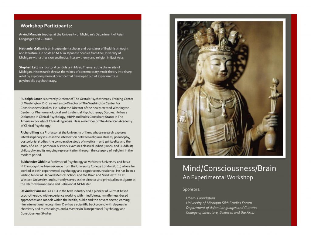 Mind, Consciousness, Brain - Dav Panesar